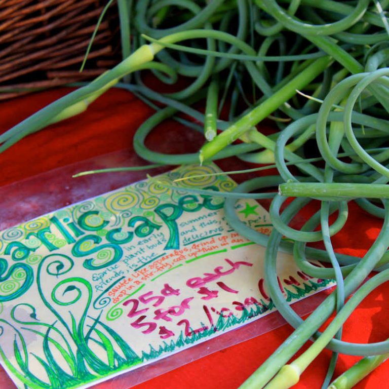 Farmers' Market at Forest Park - Hilltown Families