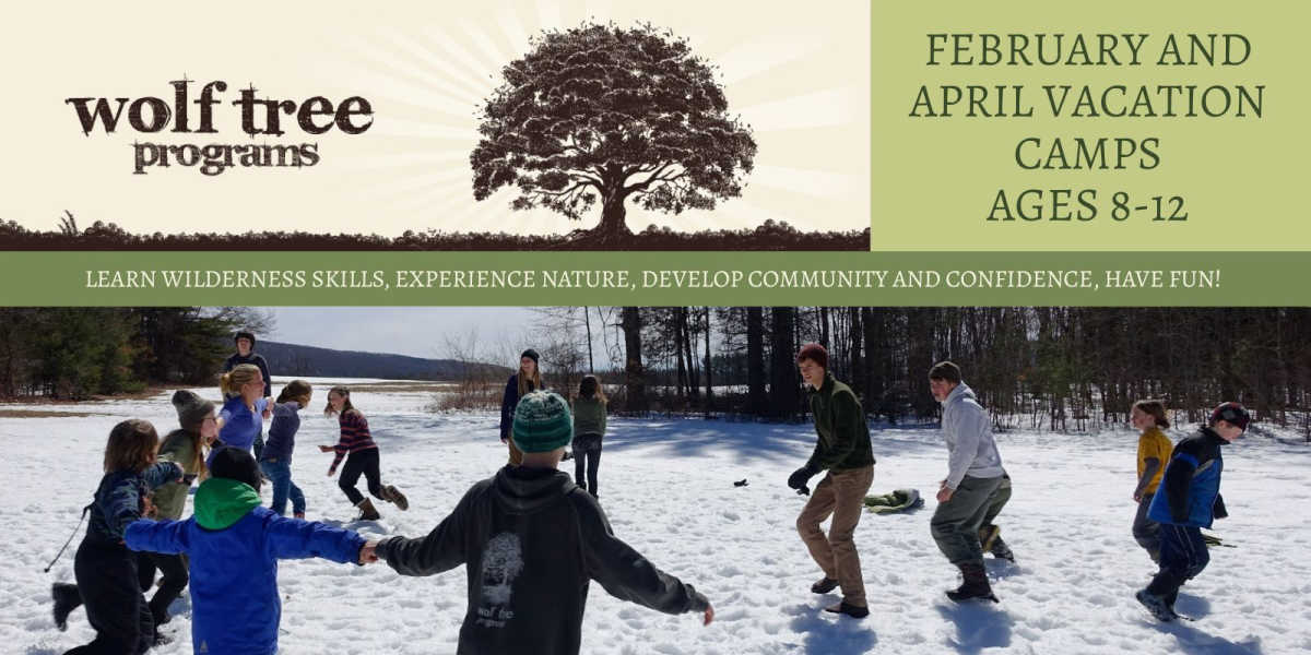February & April at Wolf Tree Programs - Hilltown Families
